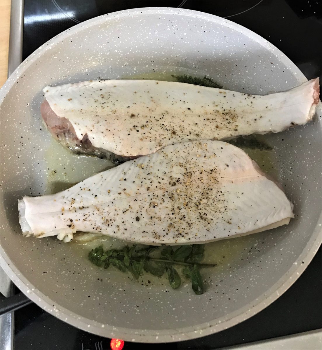 Platt wie eine Flunder